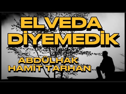 ELVEDA DİYEMEDİK | Şiir - Abdülhak Hamit Tarhan