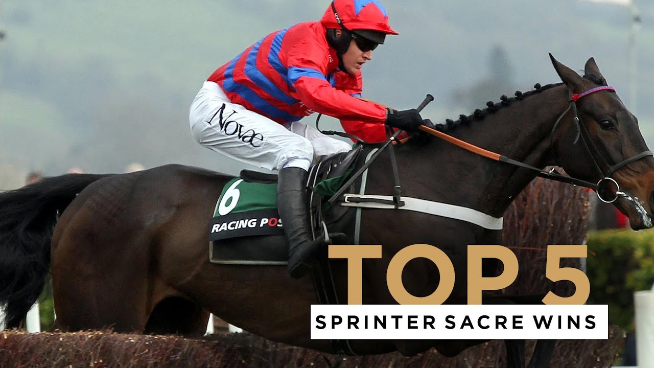 SPRINTER SACRE'S TOP 5 WINS AT CHELTENHAM, AINTREE & KEMPTON PARK - YouTube