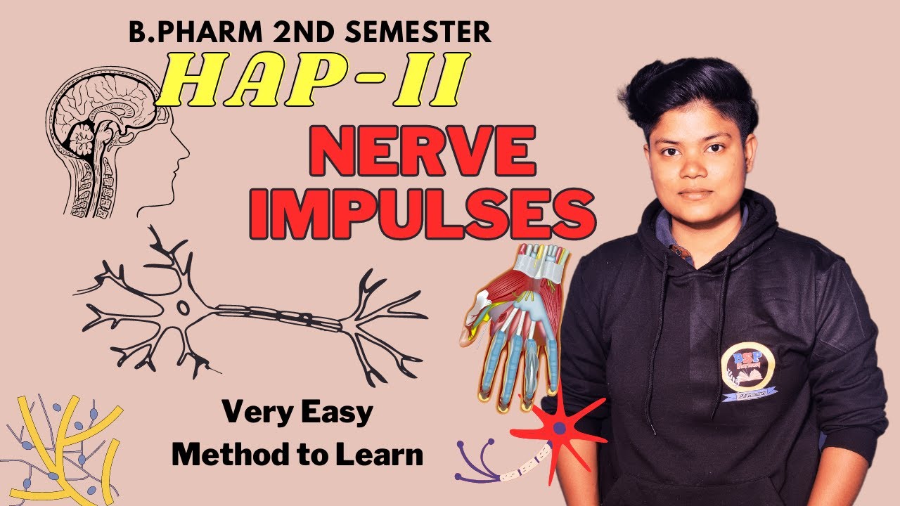HAP-II || Nervous System | Nerve Impulses by Babita Roy - YouTube