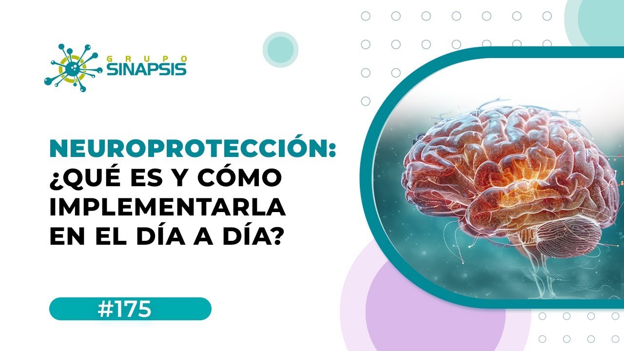 Neuroprotección: ¿Qué es y cómo implementarla en el día a día? - YouTube
