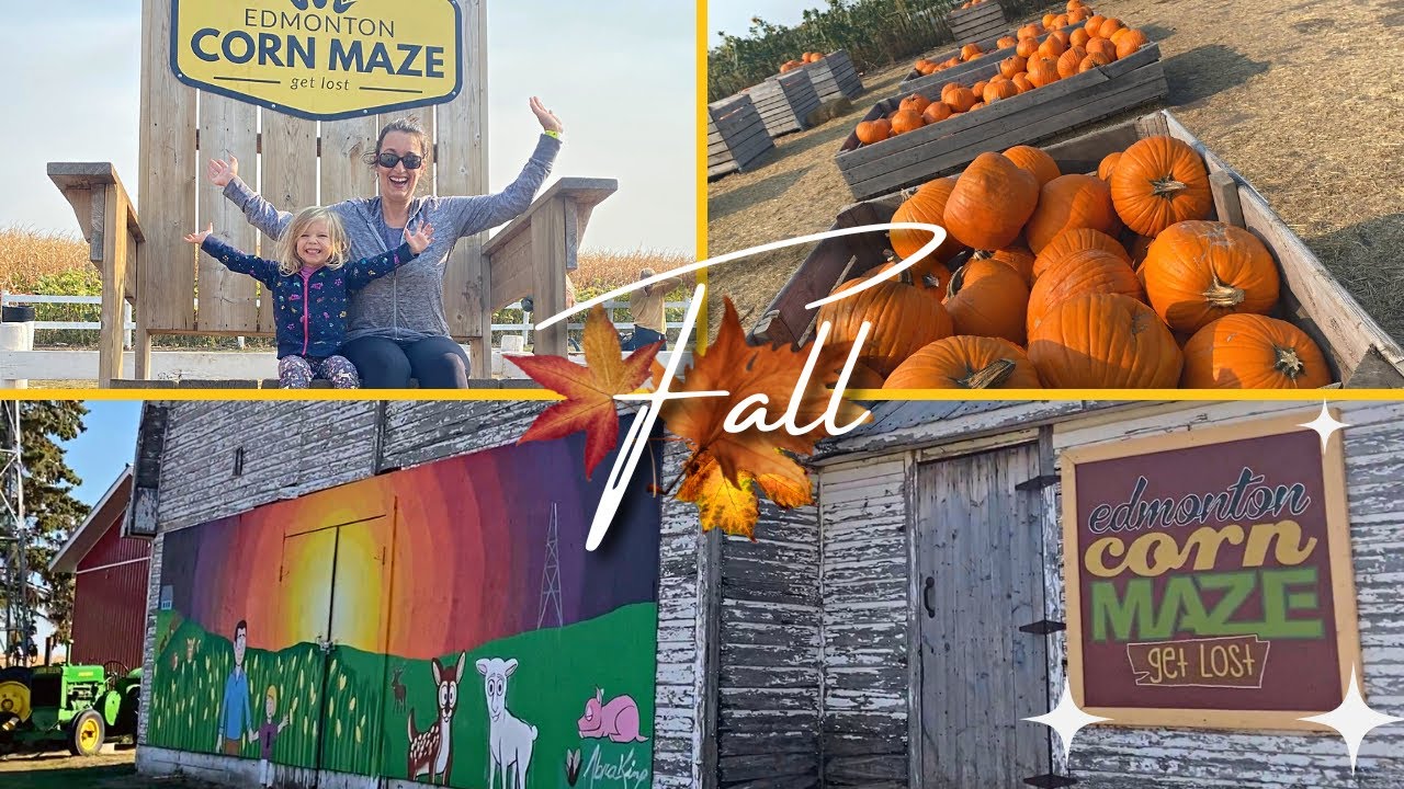 First Day of Fall 🍂 Autumn in Canada | Edmonton Corn Maze & Pumpkin ...