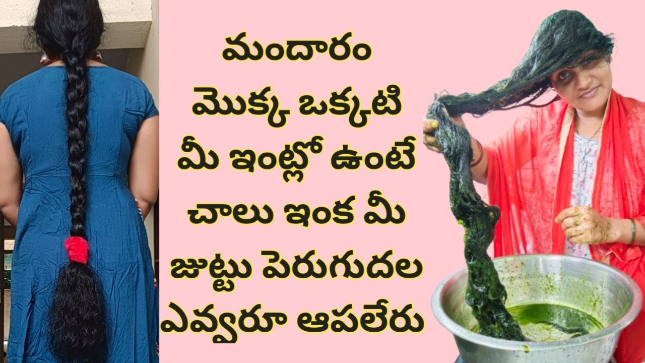 Hibiscus Hair Pack For Extreme Hair Growth How To Use Hibiscus Hibiscus Hair Pack For Extreme Hair Growth How To Use Hibiscus