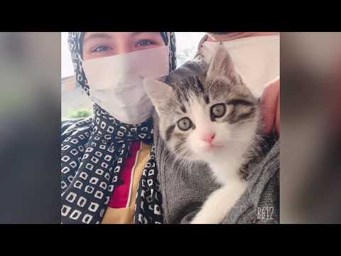 Tüylü dostumuz minnak