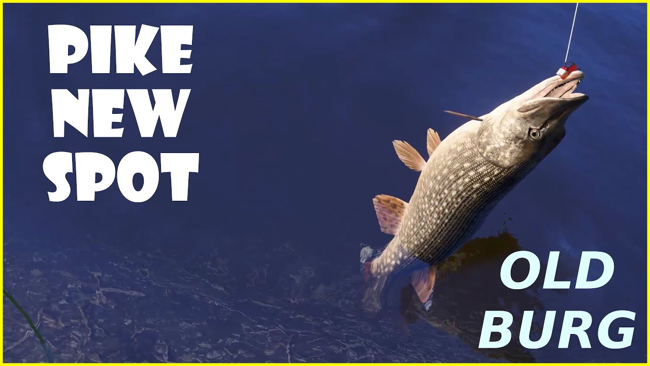Pike Szczupak Old Burg | Russian Fishing 4 rf4 spot #268 #mjplay - YouTube