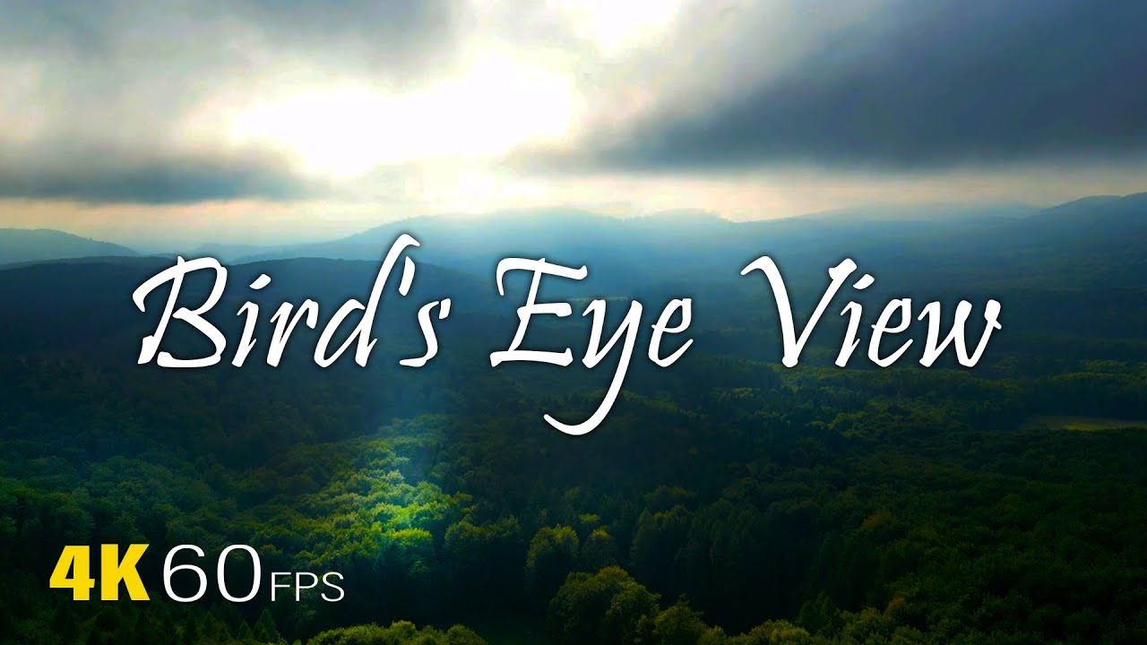 4K Drone Forest Footage - Bird's Eye View | 4K 60FPS 空へ飛んで - YouTube