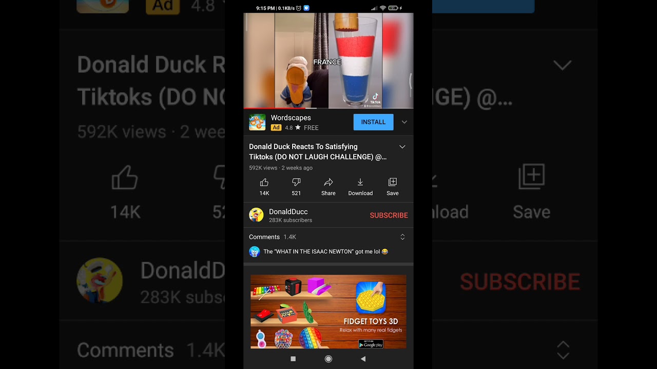 Donald Duck Reacts to Satisfying Tiktoks @donaldducc - YouTube