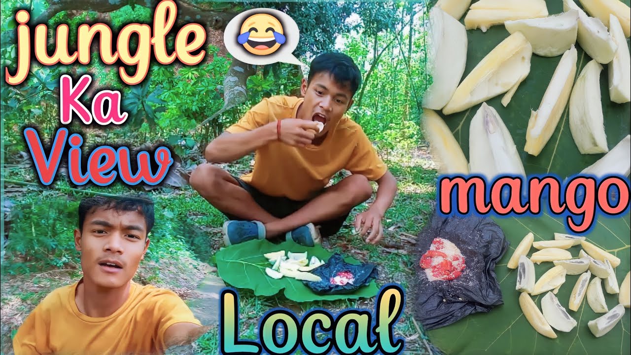 Jungle vlog | village vlog | Local mango🥭| vlog || vlogs - YouTube