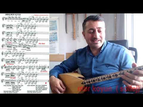 Mor koyun (solfej) ileri seviye teknik Ankara tavrı.