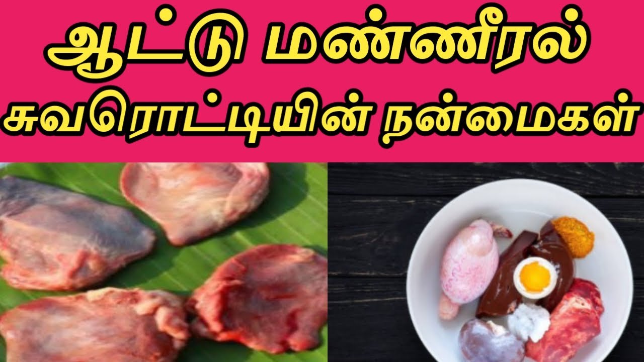 Suvarotti benefits in Tamil/mutton spleen benefits in Tamil/ஆட்டு ...