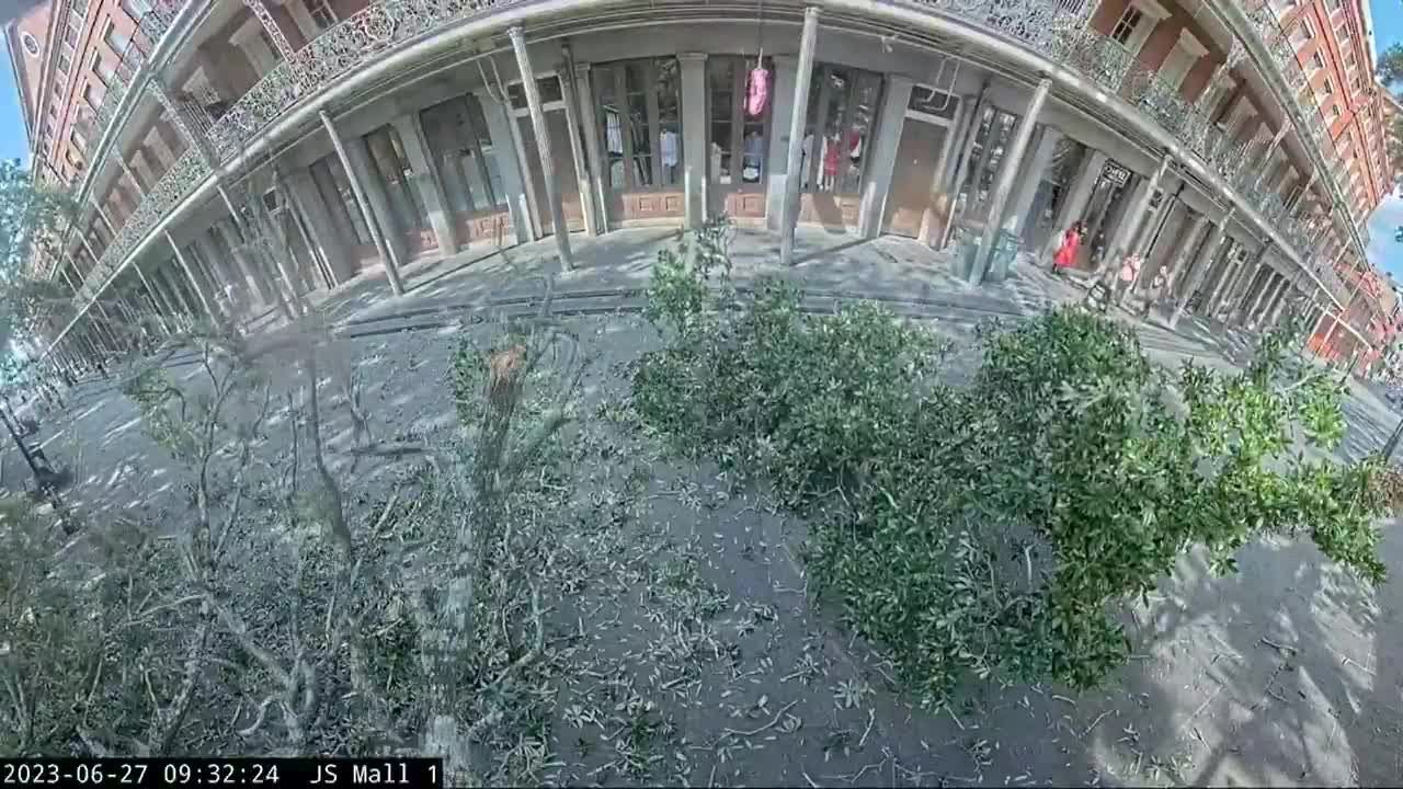 New video shows large branches snapping 10 days before teen was injured ...