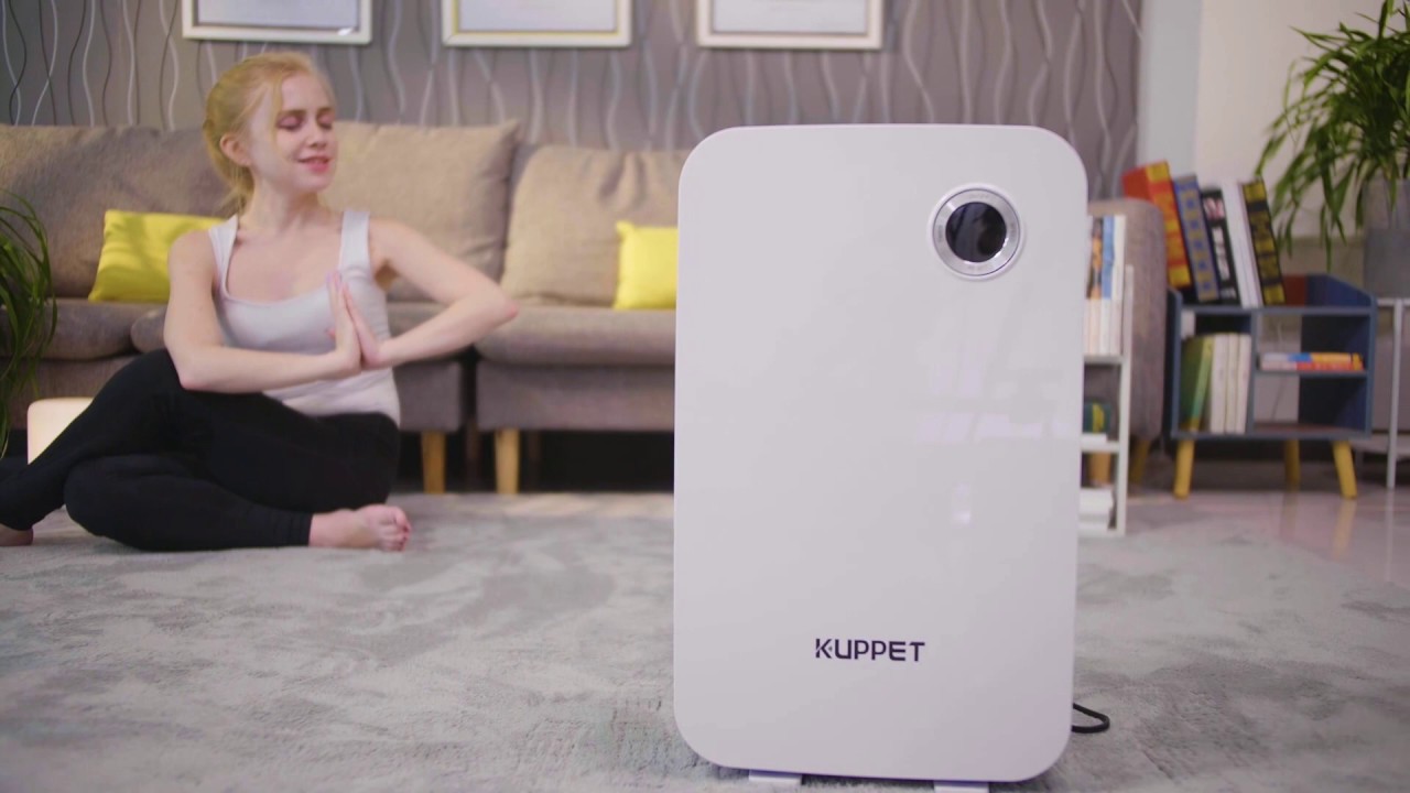 KUPPET Air Purifier for Home - YouTube