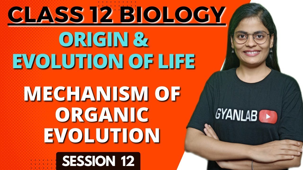 Class 12 Biology | Origin & Evolution of life | Mechanism of Organic ...