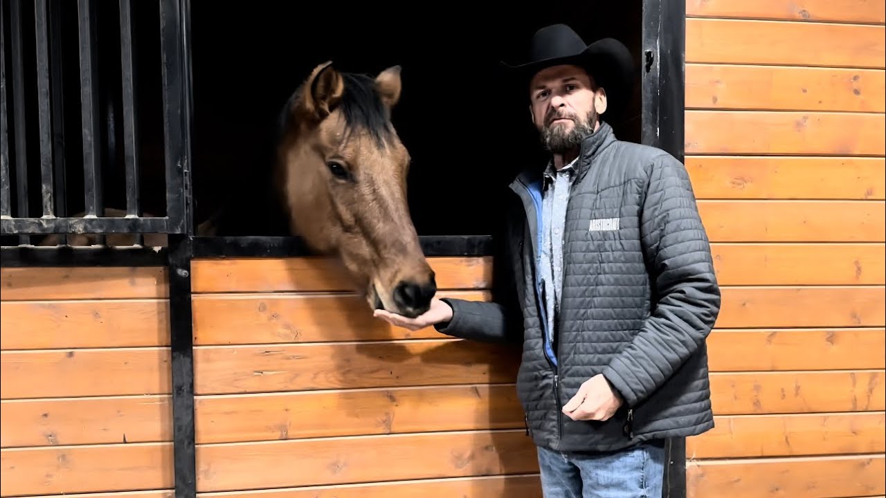 Barn Talk - YouTube