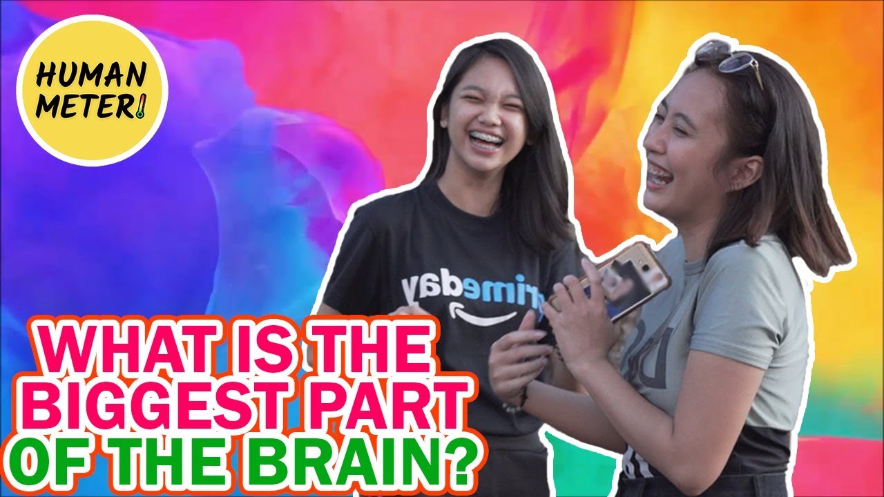 Tricky Questions: Are You Smarter Than The 3rd Grader? | HumanMeter ...