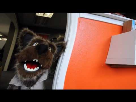 werewolf puppet, awake in the studio, animatronic monster by Luna's ...