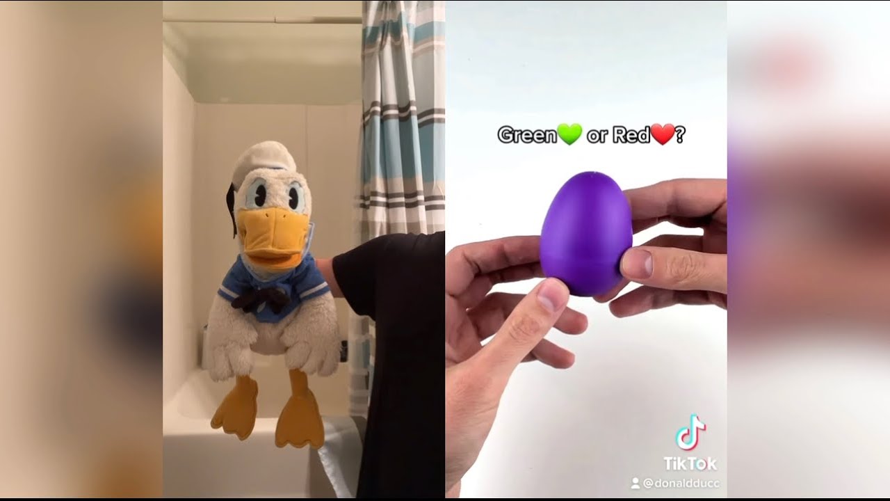 Donald Ducc Reacts To Satisfying TikToks 3 (DO NOT LAUGH OR SMILE ...