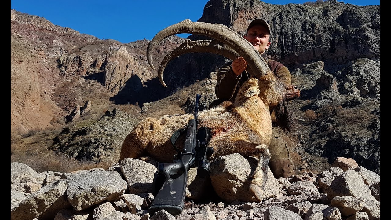 Bezoar Ibex Hunting Attila & Turkish Frontier Outdoor Adventure Co ...