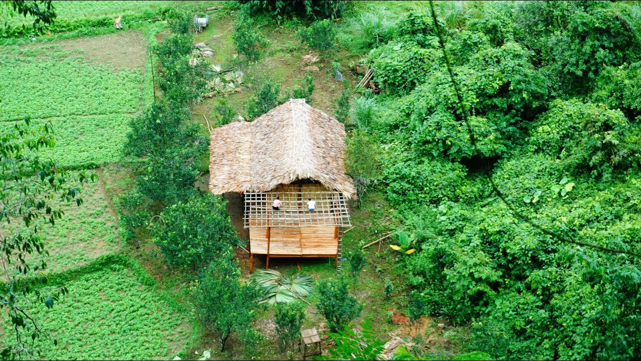 Build a house on wooden stilts in the forest,Build a palm leaf roof ...
