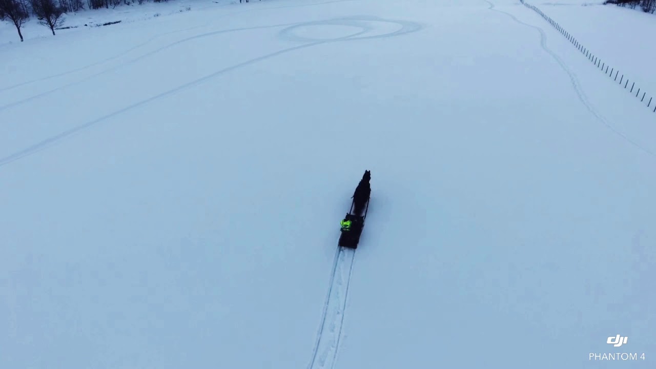 Horse sledding in Åseral Norway - YouTube