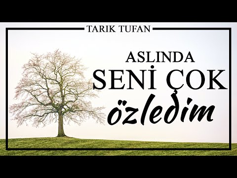 Emre Özdemir - Aslında Ben Seni Çok Özledim