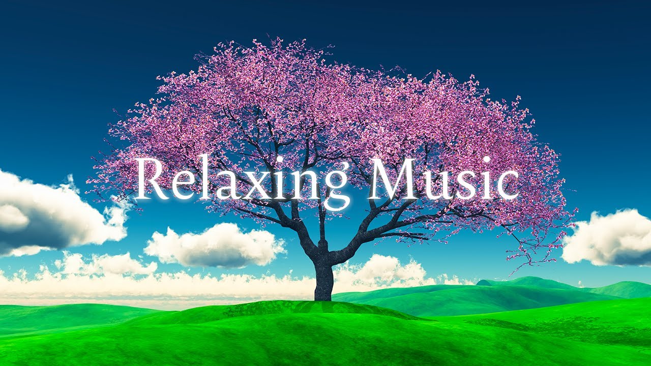 Relaxing Guitar & Piano Melodies: Calm Music for Focus and Stress ...