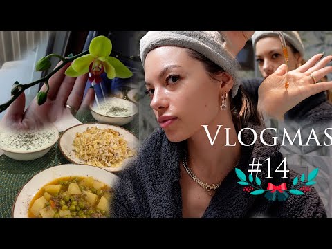 ORKİDE VE DEVE TABANI BAKIMIM🌺 Bezelye Yemeği ve Makarna Pilavı, Uygun Fiyatlı Serum Deniyoruz #14 ,