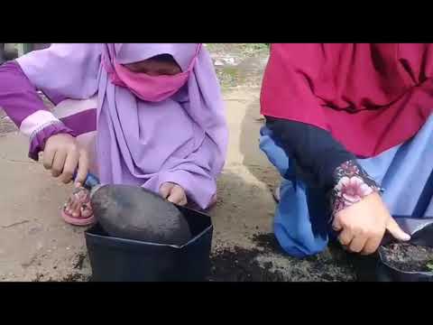 Belajar dari Ibu di Rumah-Vidio Kreatif Keluarga