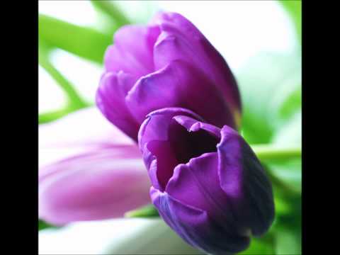 Allah de Kalbim Allah de-Grup Hacegan