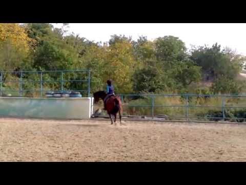 MOV 0169