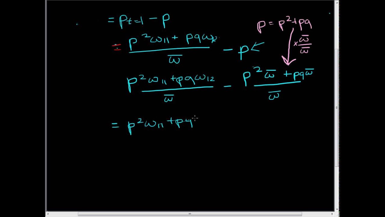 Average excess of fitness part 4: building the equation - YouTube
