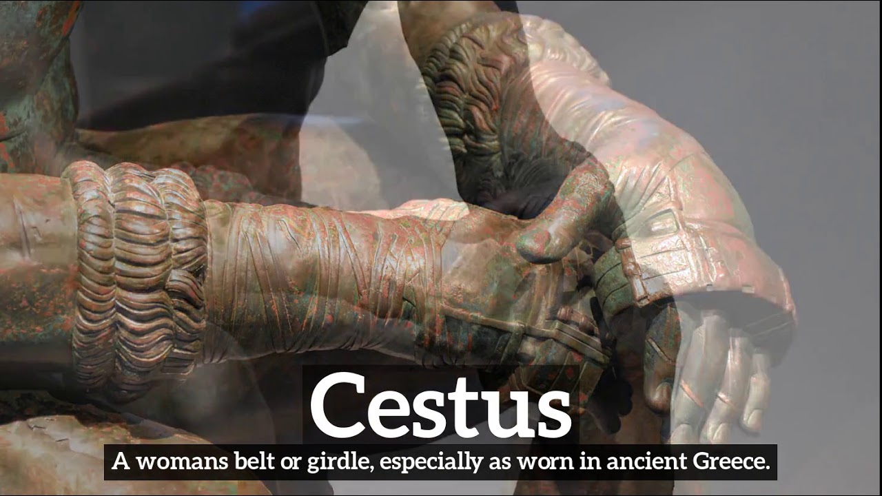 What is Cestus? | How to Say Cestus in English? | How Does Cestus Look ...