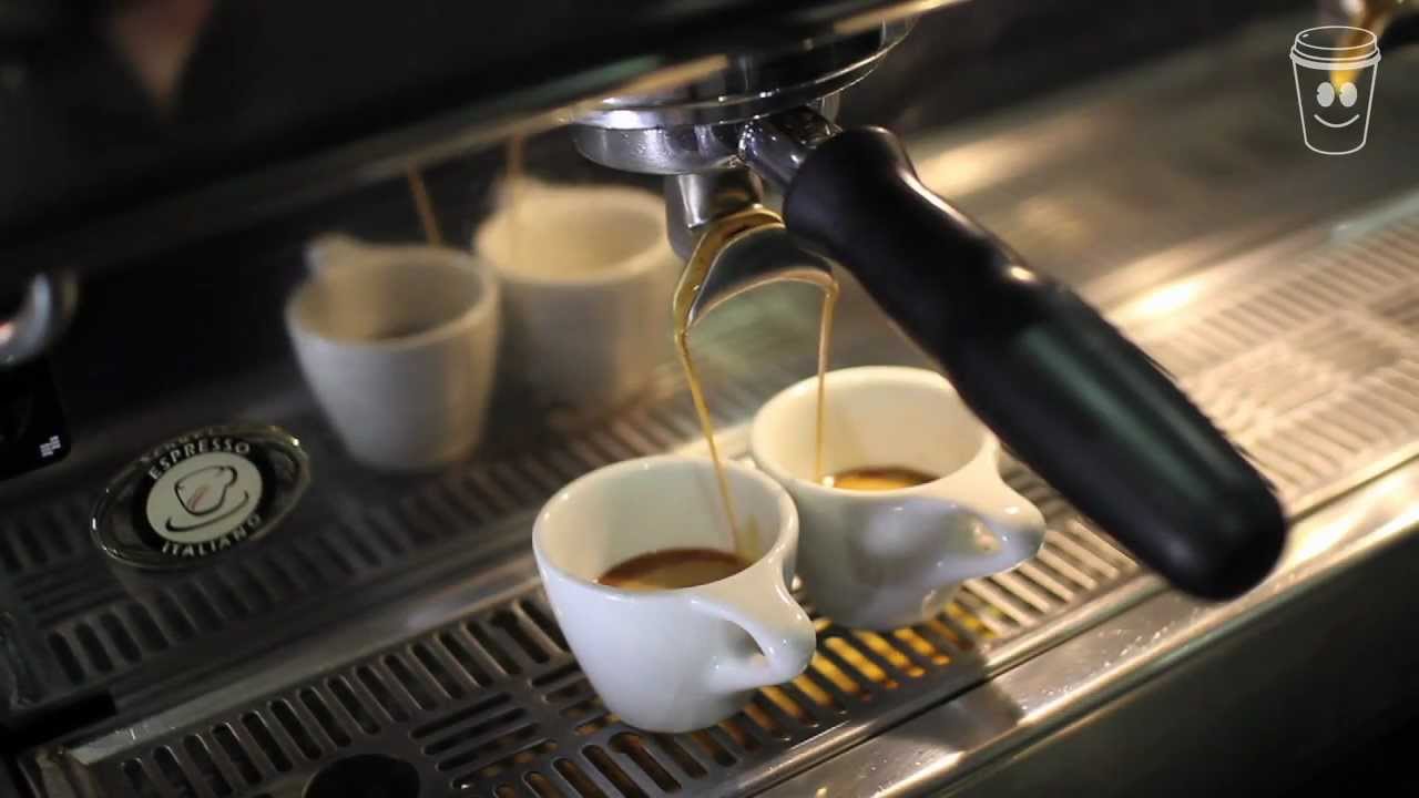 How To Pull A Shot Of Espresso :: Short Blk - YouTube
