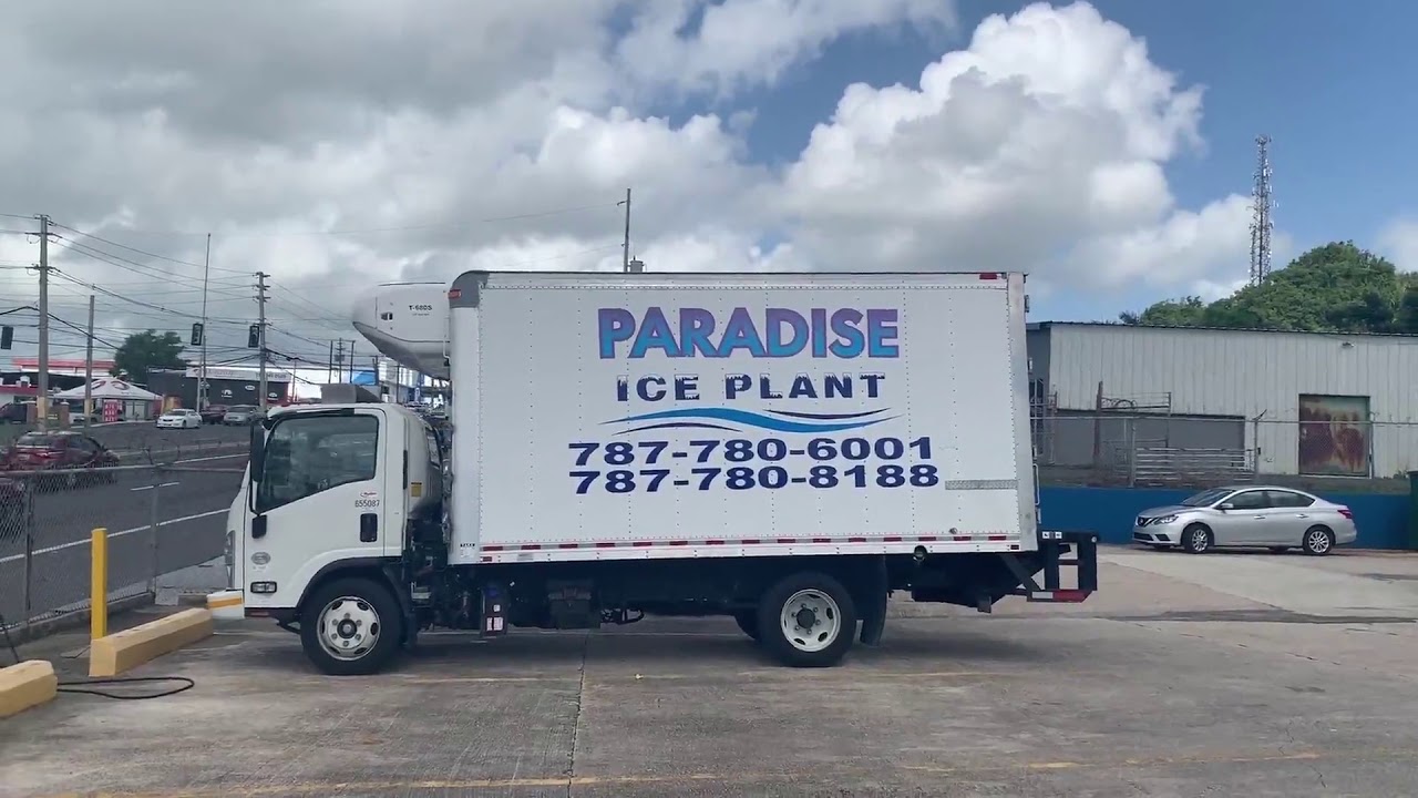 Paradise Ice Plant - YouTube