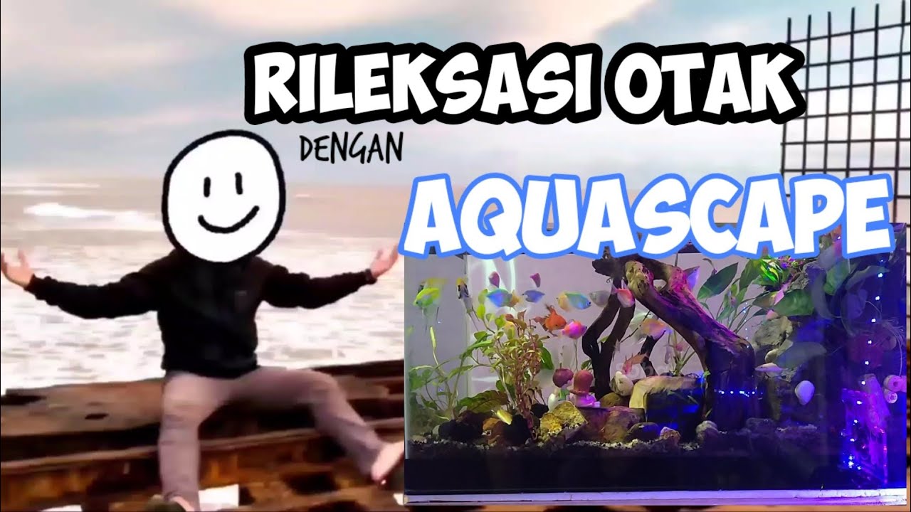 MUSIK RILEKSASI SULING | Rileks Otak dengan Pemandangan Aquascape ...