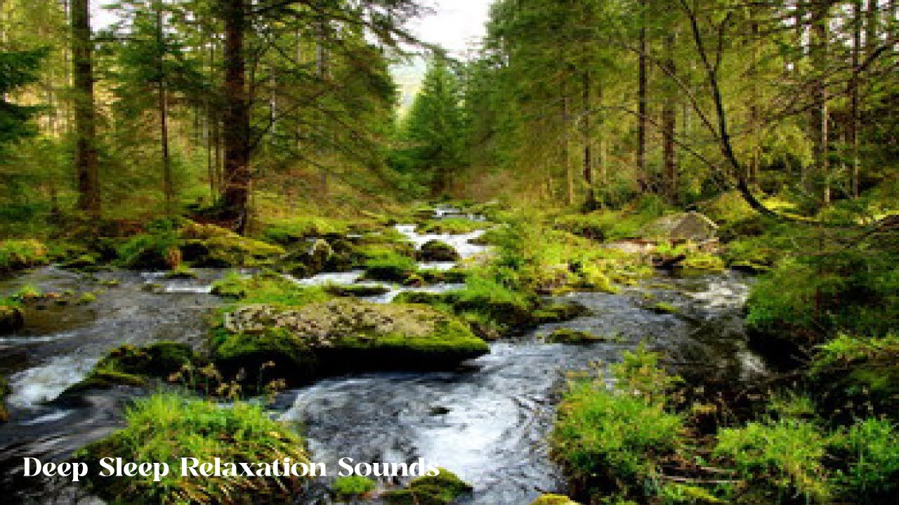 Unwind your Mind with this Peaceful Relaxing Video! Deep Sleep ...