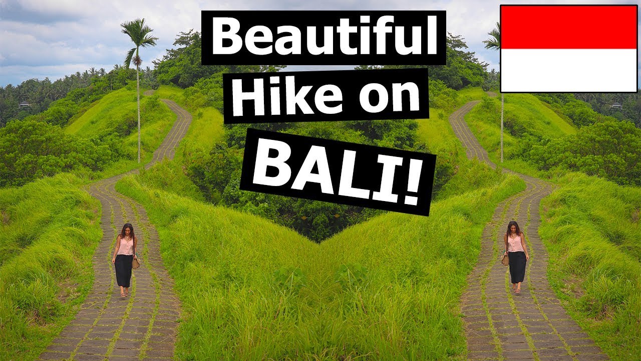 Favorite Hike in Ubud, BALI! (with Rice Fields) CAMPUHAN RIDGE WALK ...