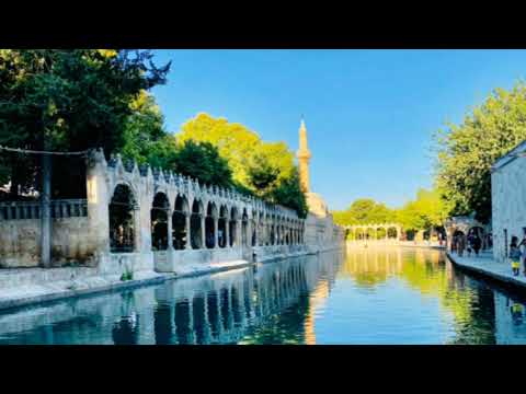 Eşref Ziya Terzi Vatanım Benim