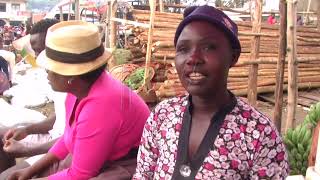 ENSEENENE E FORT PORTAL: Zigudde ebbeeyi, kati ekikopo kigula nnusu 500 ...