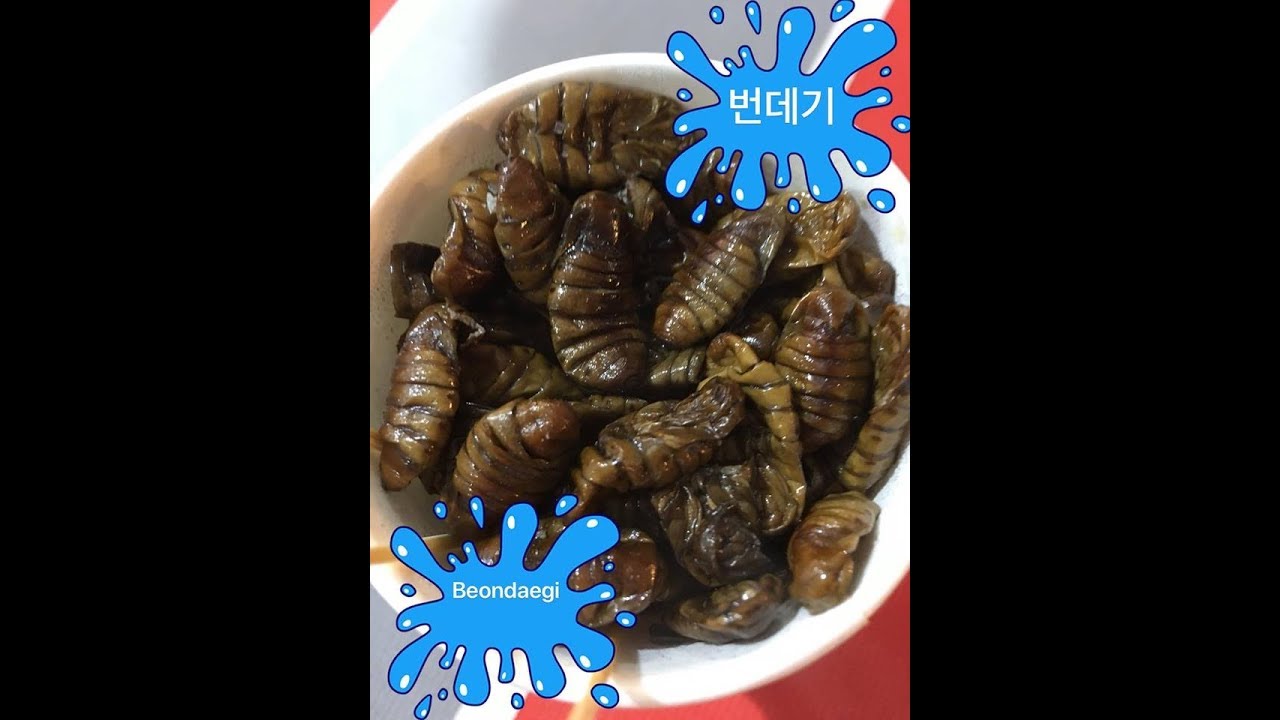 KOREAN STREET FOOD- BEONDEGI (Silk Worm Larvae) CHALLENGE! - YouTube