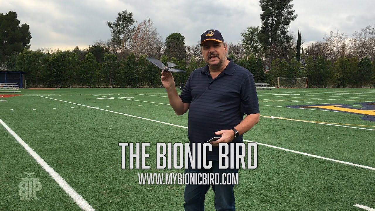 Bionic Bird Takes Flight: Learning the Hard Way - Read the Manual First ...