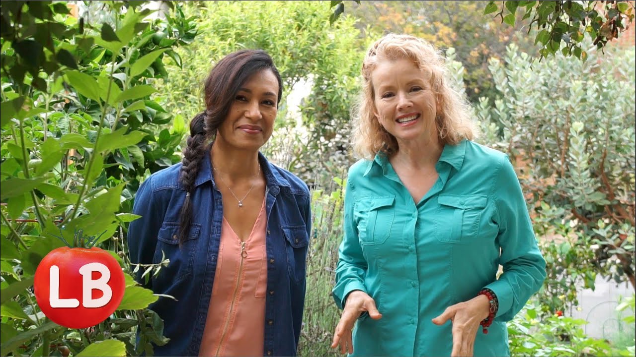 A Fan Visits Late Bloomer Garden | Kaye's Vlog - YouTube