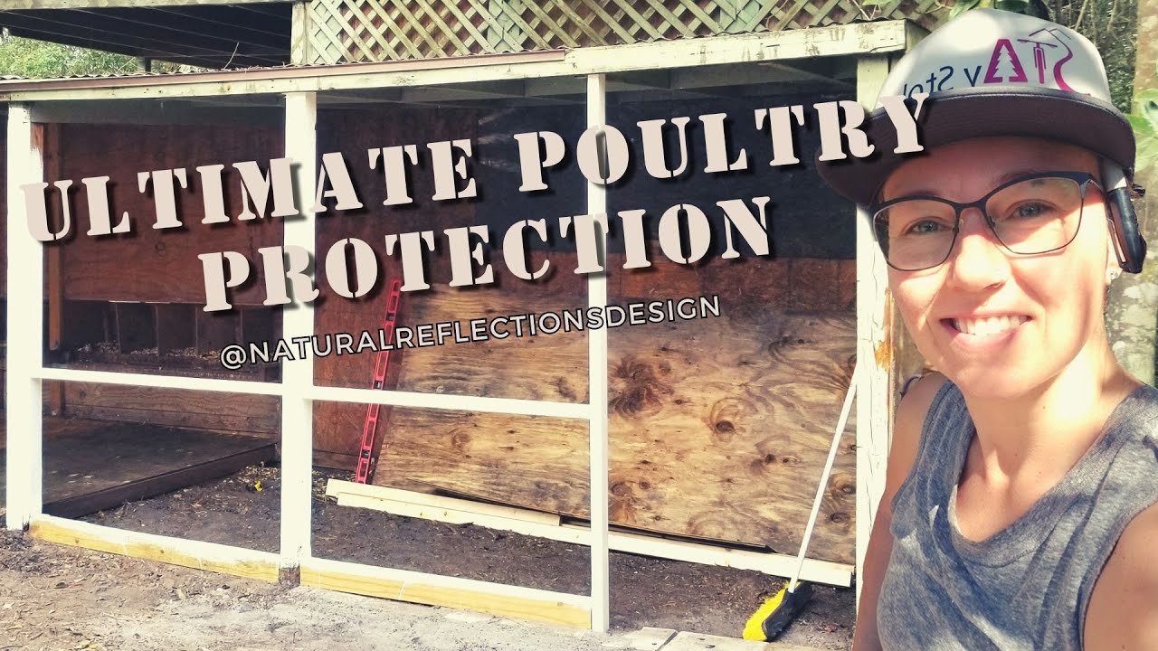ULTIMATE POULTRY PROTECTION | ENCLOSING THE COOP AND ADDING A POP DOOR ...