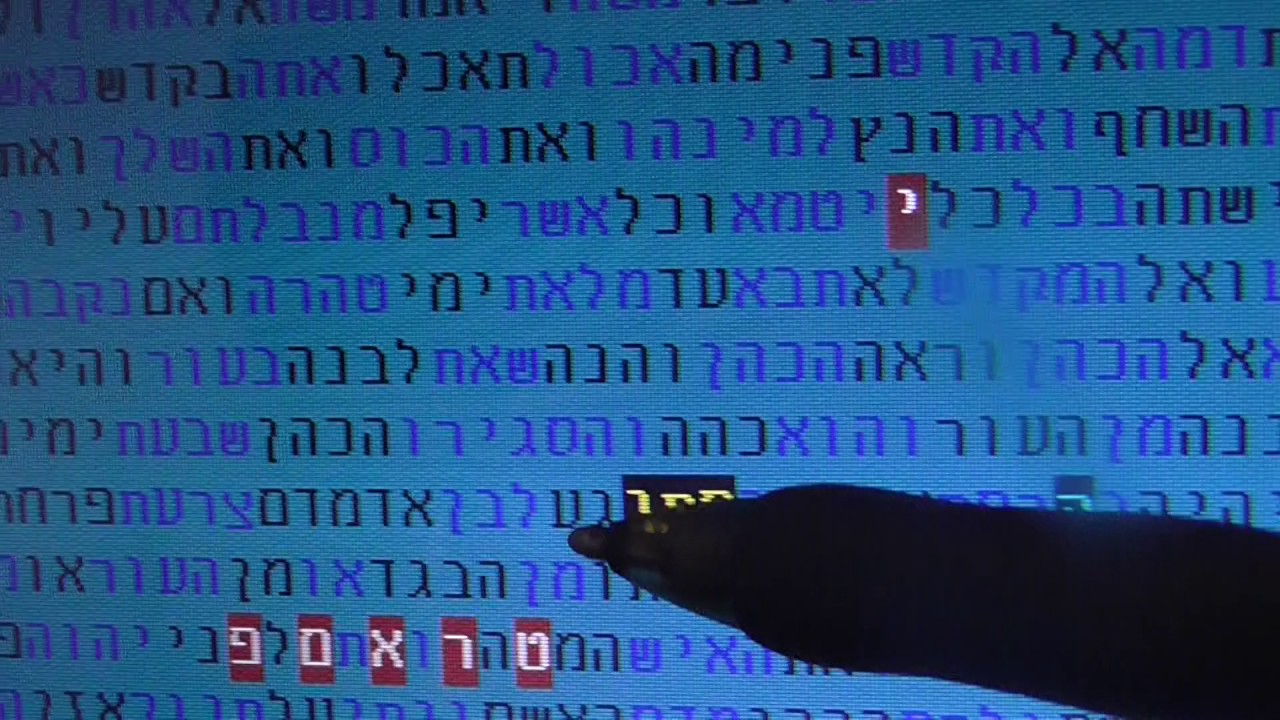 Yoel Chaim Kushner Son in law Tramp Advisor in bible code Glazerson - YouTube