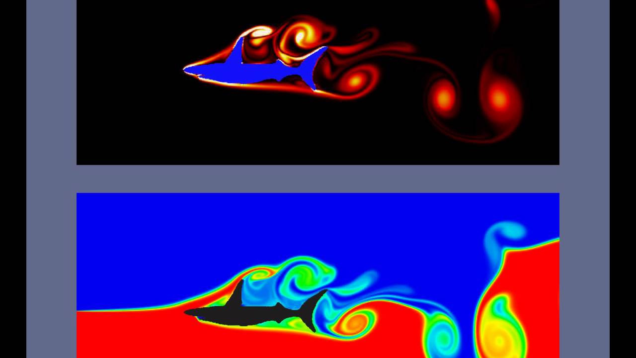 CFD Simulation of a Shark on Cruise Control - YouTube