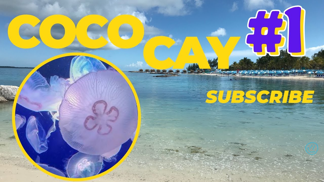 JELLYFISH EVERYWHERE @ COCO CAY on Royal Caribbean's HARMONY of the ...