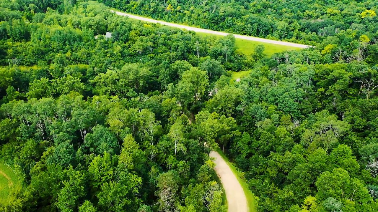 Beautiful road in between forest and farm - YouTube