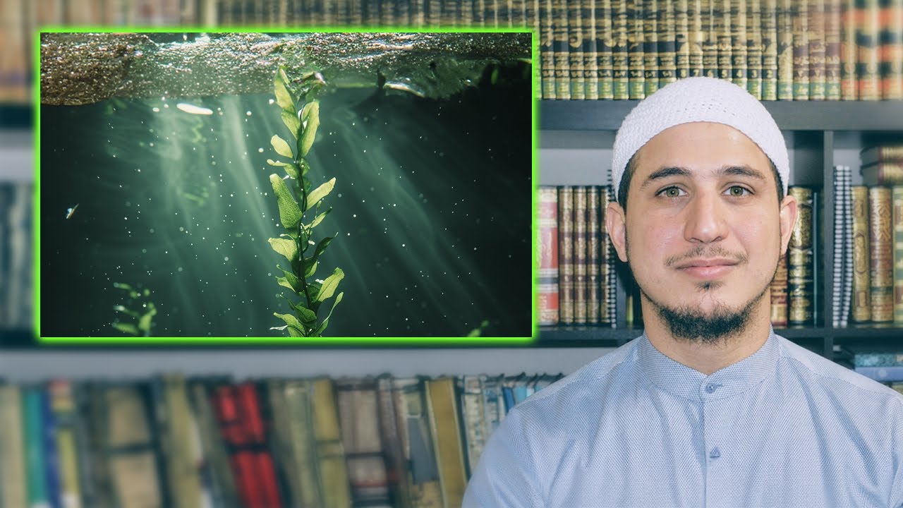 How to See Allah in Everything? - YouTube
