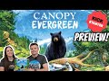 Canopy: Evergreen | Board Game | BoardGameGeek