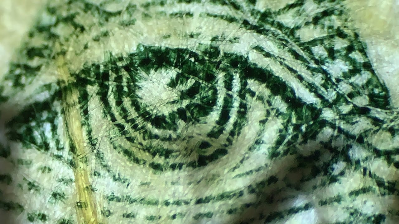 What does a $1 Bill look like under a MICROSCOPE???? (Viewing money ...