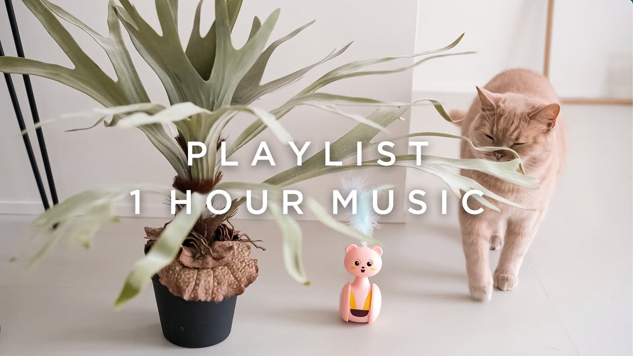 [playlist]Chillin' vibes music ｜Music to refresh your mood - YouTube Music